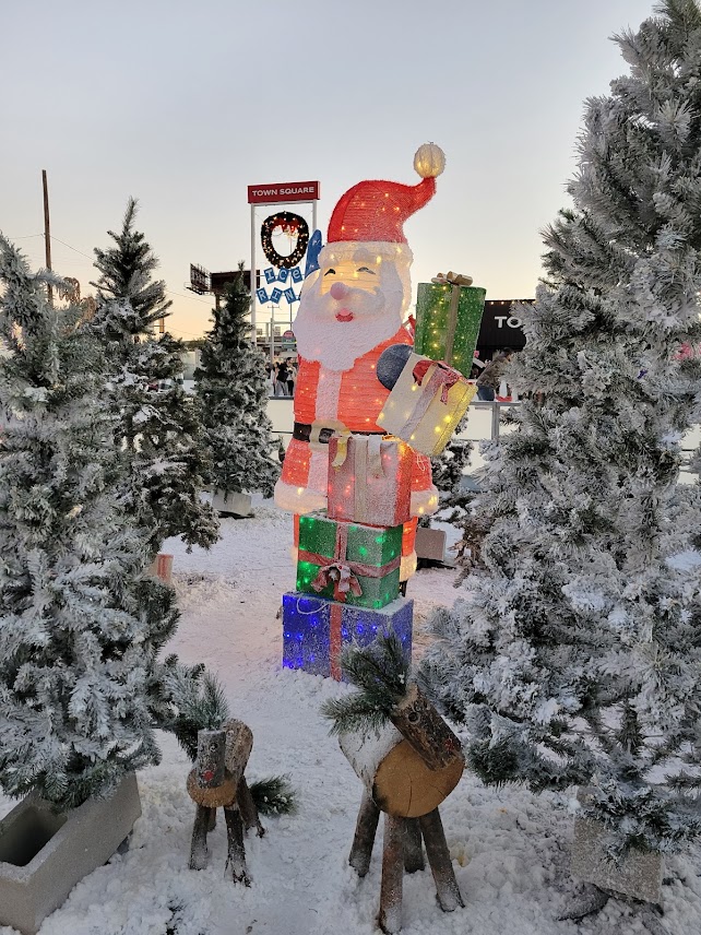 Peter Pan's Backyard